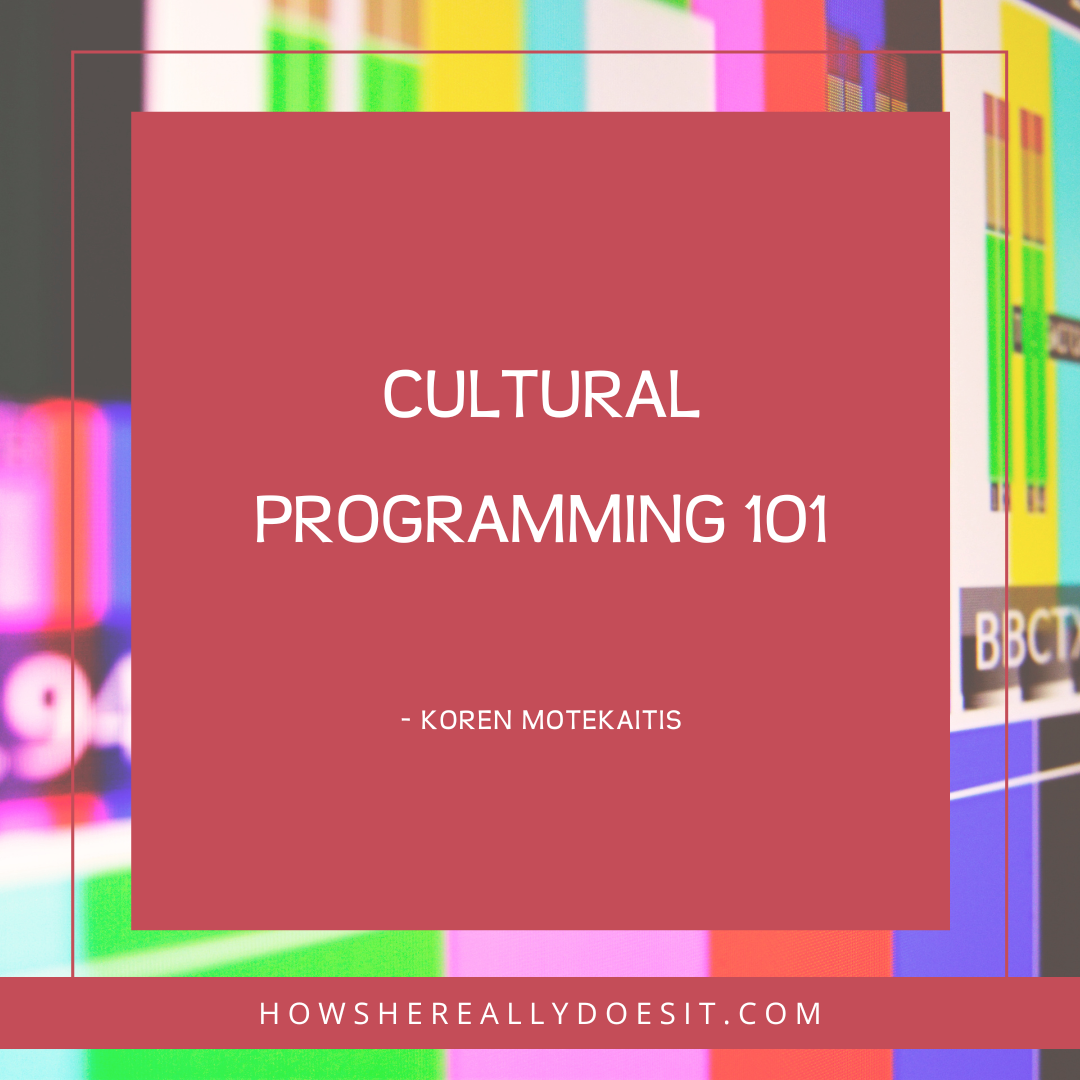Cultural Programming 101 - howshereallydoesit.com
